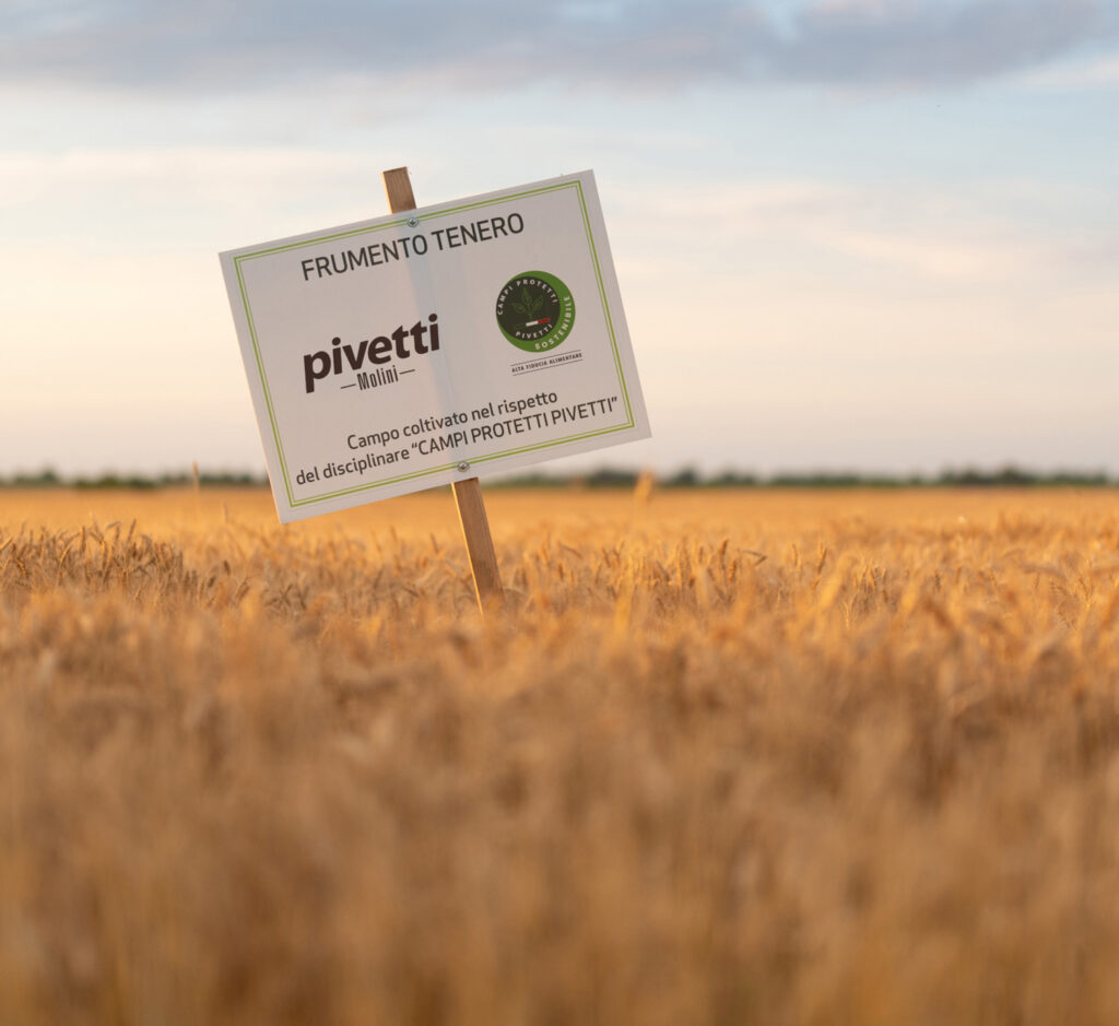 Home - Molini Pivetti