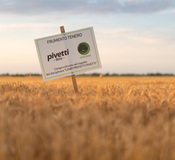 Home - Molini Pivetti